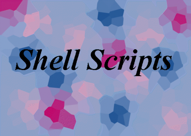 C Shell Scripts